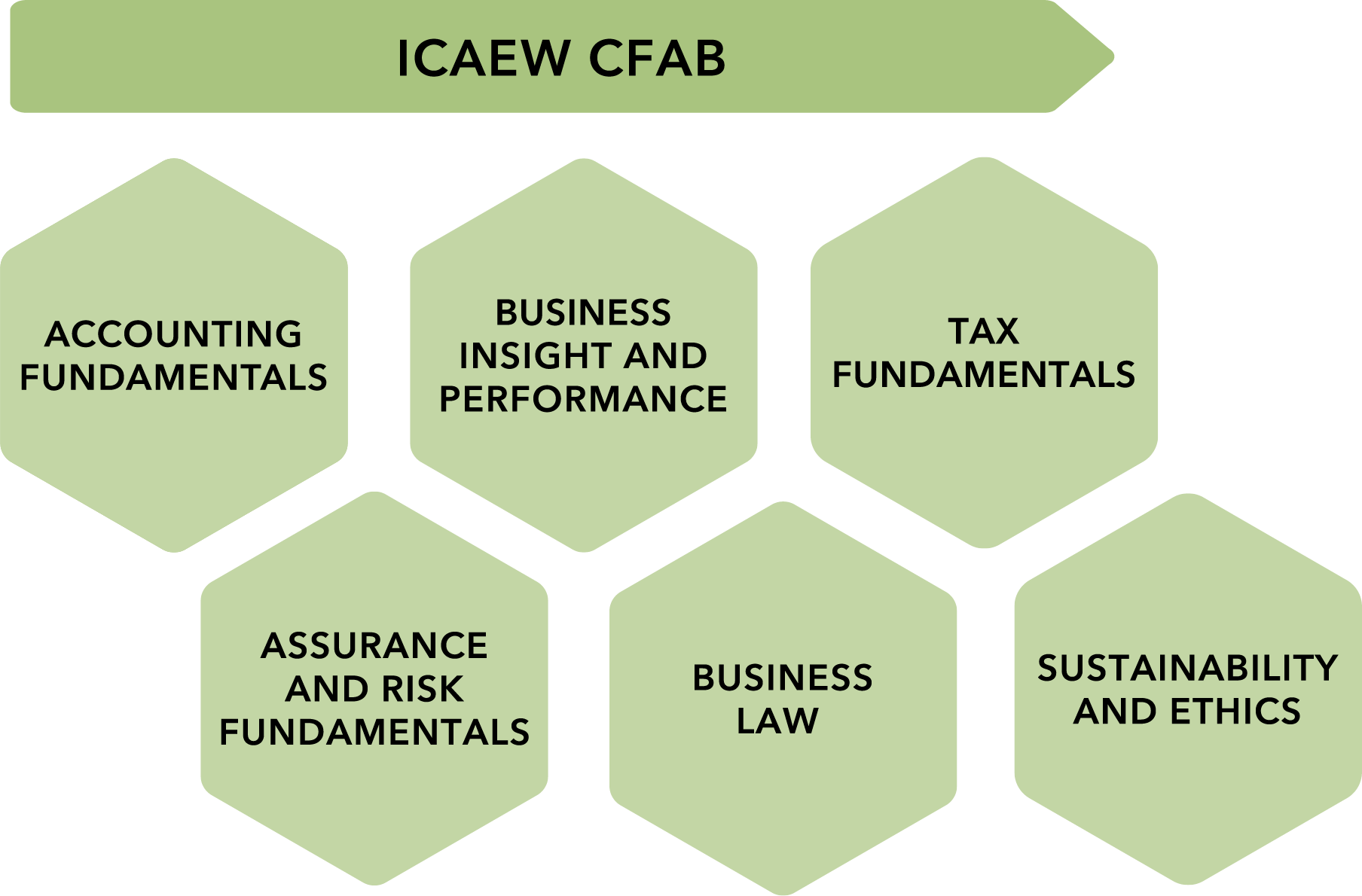 ICAEW Certificate in Finance, Accounting & Business (CFAB ...