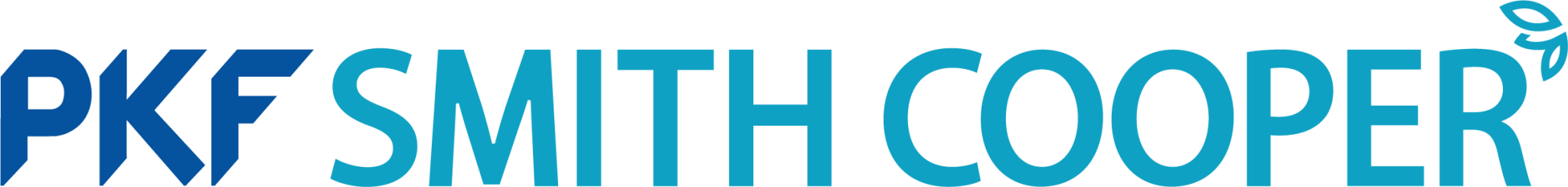 PKF Smith Cooper | Accountancy Careers